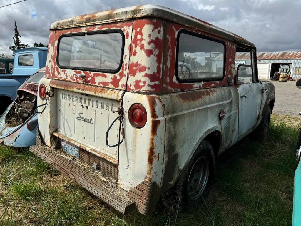 1964 Scout 80 "Custom" or Red Carpet | IH PARTS AMERICA