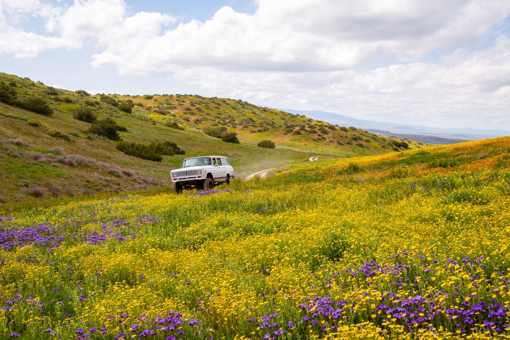 Voting Time! Pick your favorite Photo for our IHPA 2024 Calendar! | IH ...